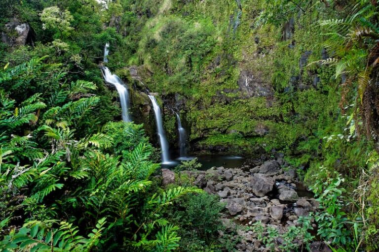 12 Jaw-Dropping Maui Waterfalls (+ Map to Find Them!)