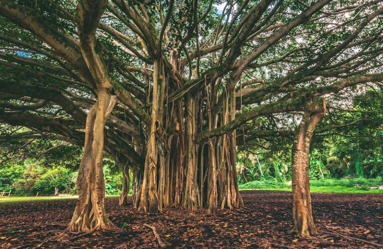 14 Cutest Small Towns in Hawaii (all Islands!)