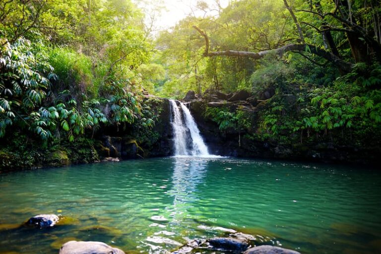 12 Jaw-Dropping Maui Waterfalls (+ Map to Find Them!)