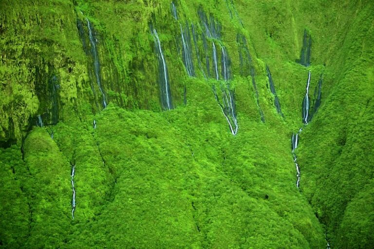 12 Jaw-Dropping Maui Waterfalls (+ Map to Find Them!)