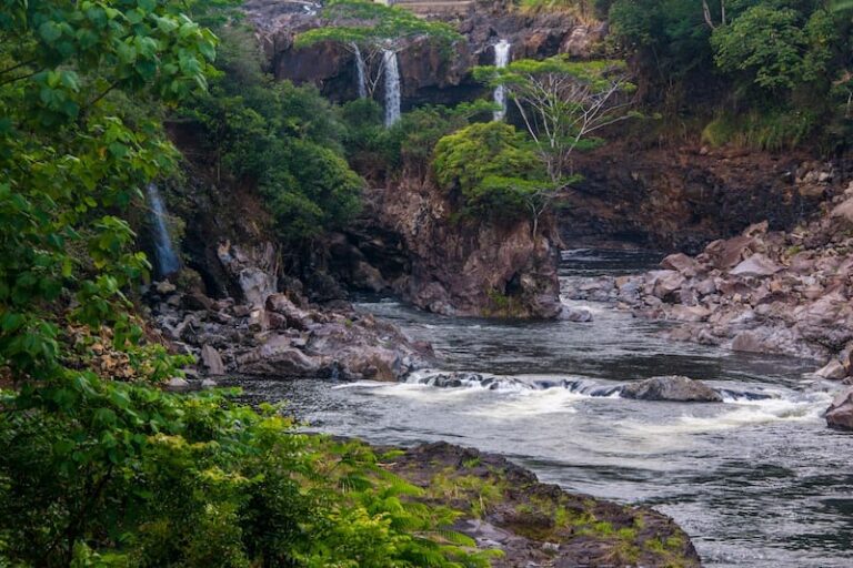 22 Amazing Things to Do in Hilo, Hawaii (+ Travel Tips)