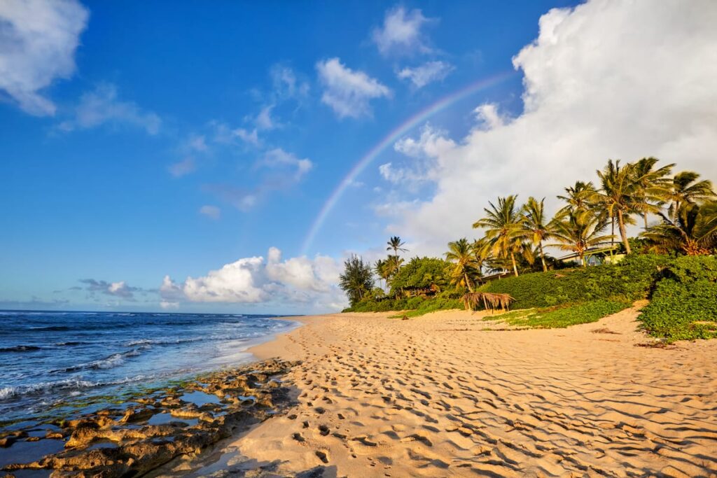 10 Best North Shore Beaches (for Surfing, Kids, & More!)