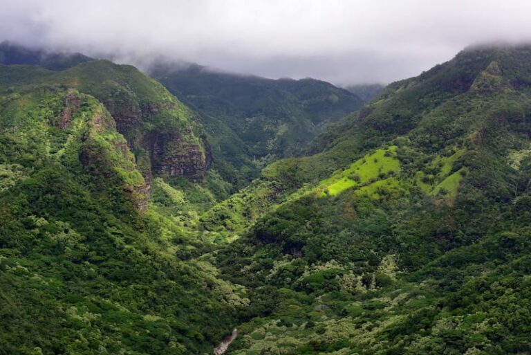 19 Best Things to Do in Poipu, Kauai (+ Nearby Attractions!)
