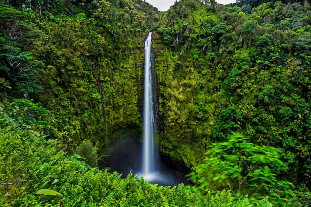 12 Most Beautiful Big Island Waterfalls (+ How to Visit!)