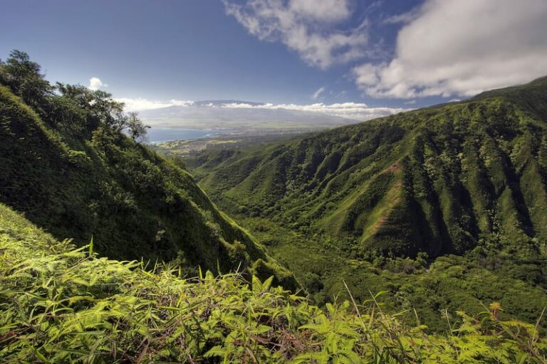 36 Magical Things to Do in Maui (for Your Bucket List!)