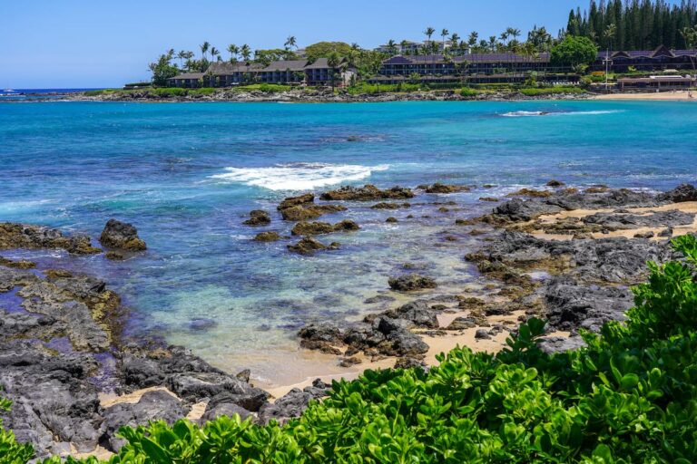 9 Noteworthy Things to Do in Napili (and Nearby!)