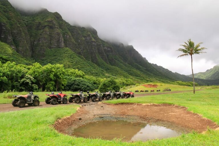 Hawaii in March: Weather, Things to Do, & Seasonal Tips